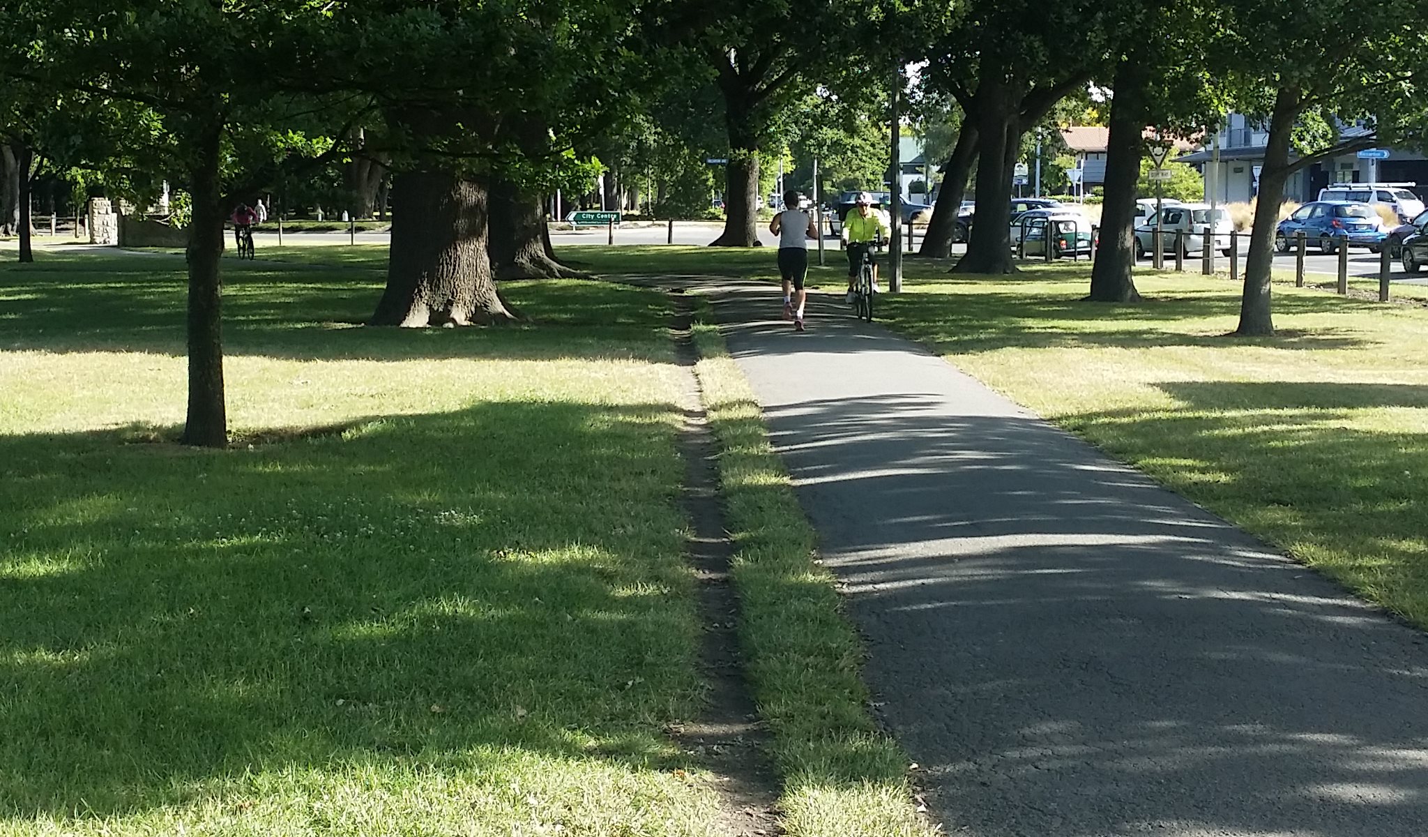Not-so-hidden Treasures: Hagley Park – Cycling in Christchurch