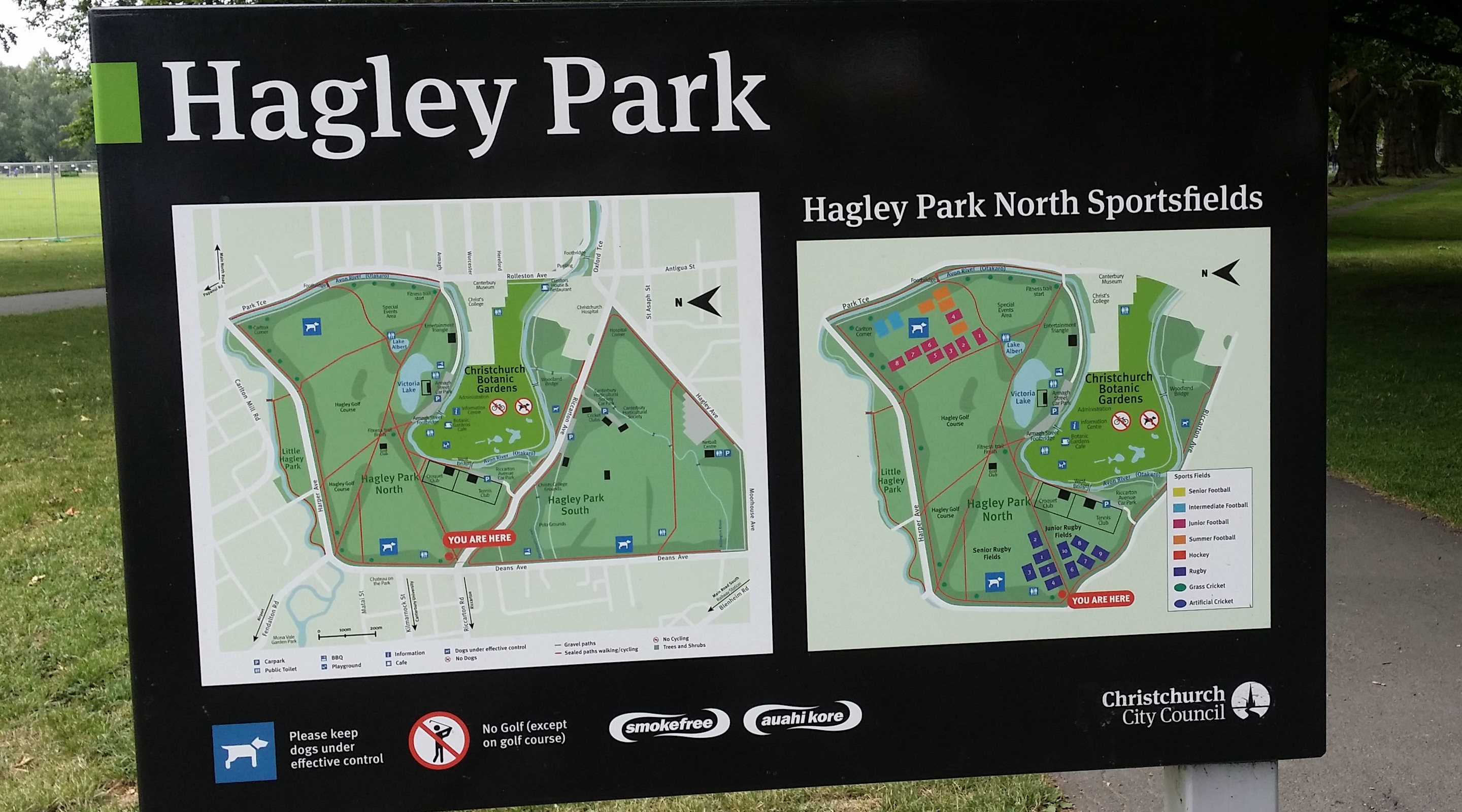 Not-so-hidden Treasures: Hagley Park – Cycling in Christchurch