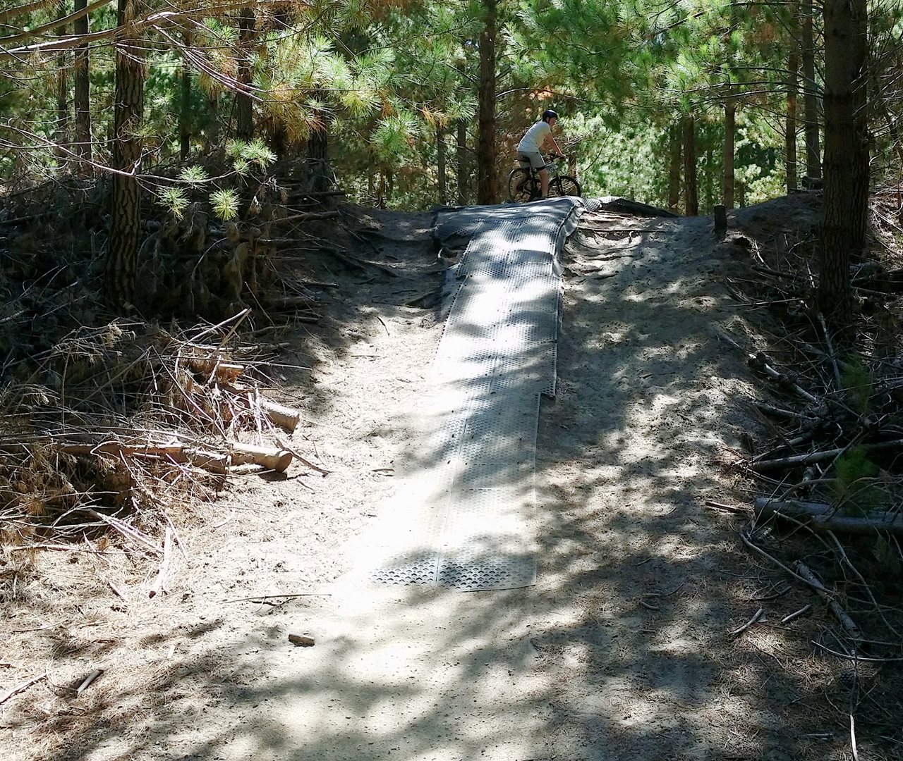 Hidden Treasures: Bottle Lake Forest Park – Cycling in Christchurch