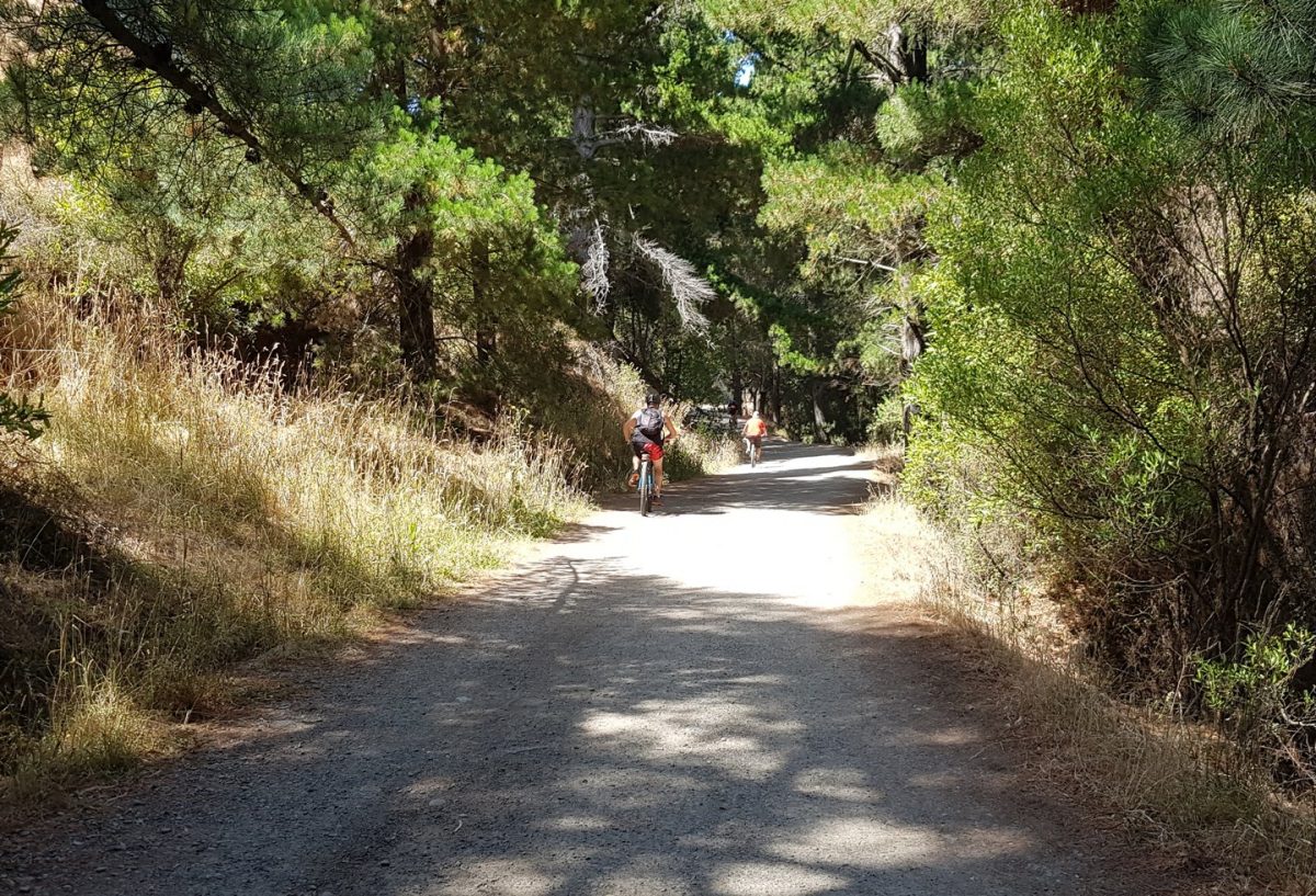 Flashback Friday Hidden Treasures: Rapaki Track – Cycling in Christchurch