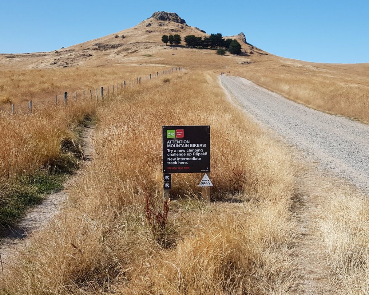 Flashback Friday Hidden Treasures: Rapaki Track – Cycling in Christchurch