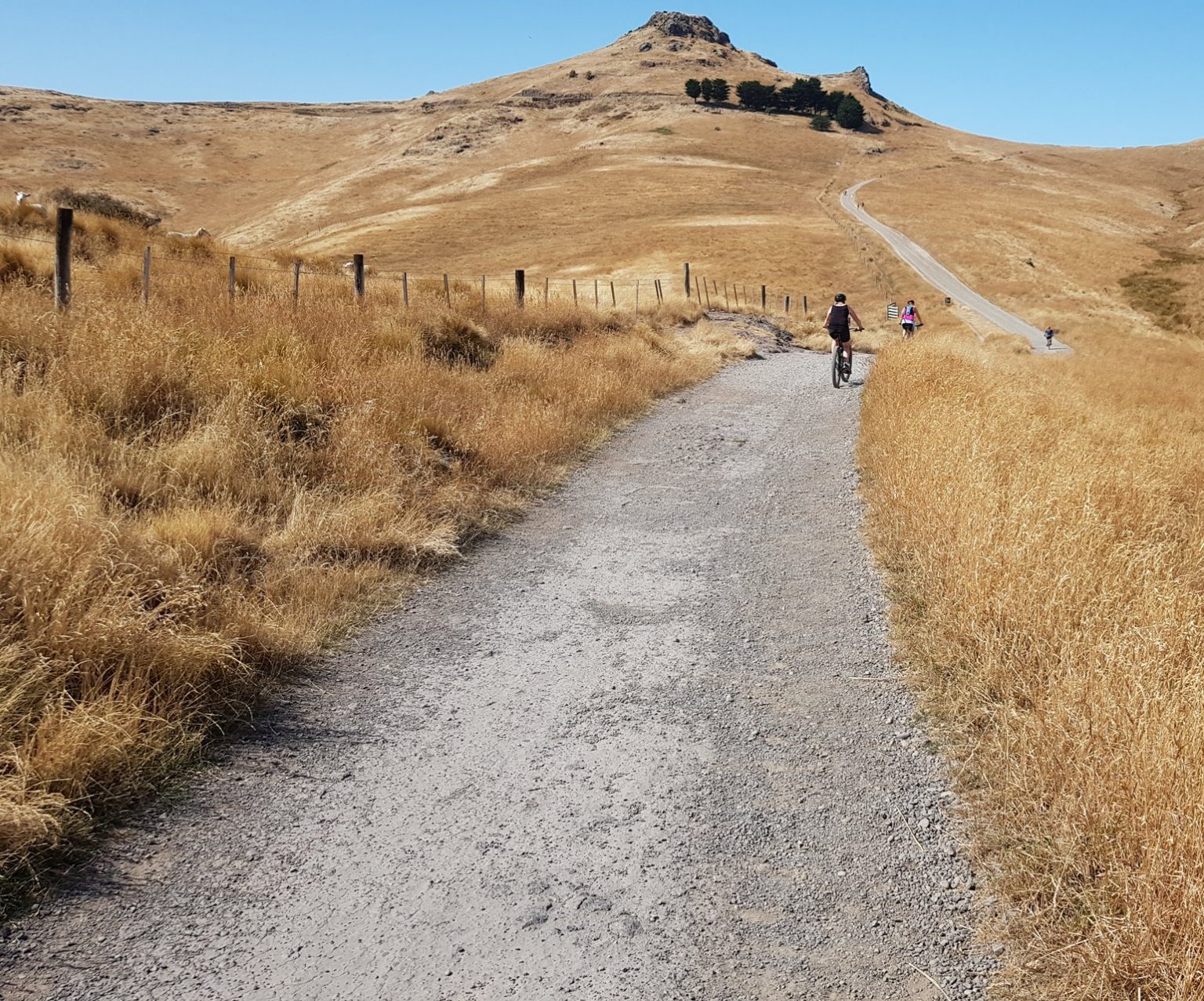 Flashback Friday Hidden Treasures: Rapaki Track – Cycling in Christchurch