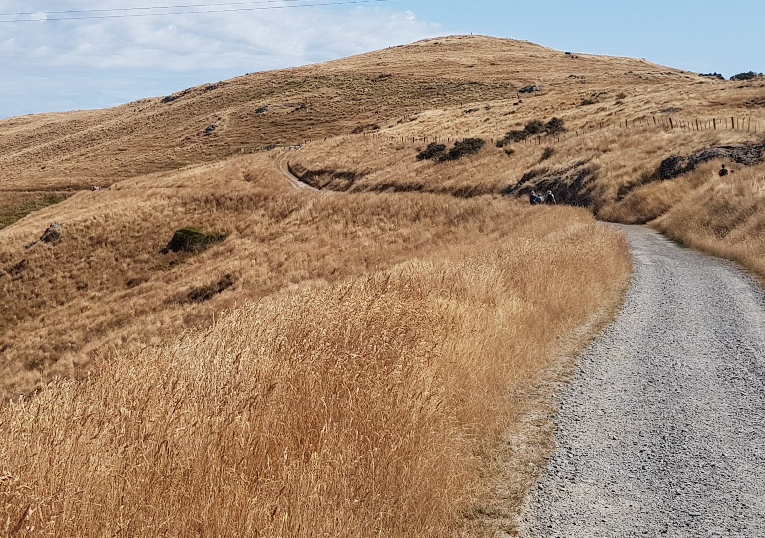 Flashback Friday Hidden Treasures: Rapaki Track – Cycling in Christchurch