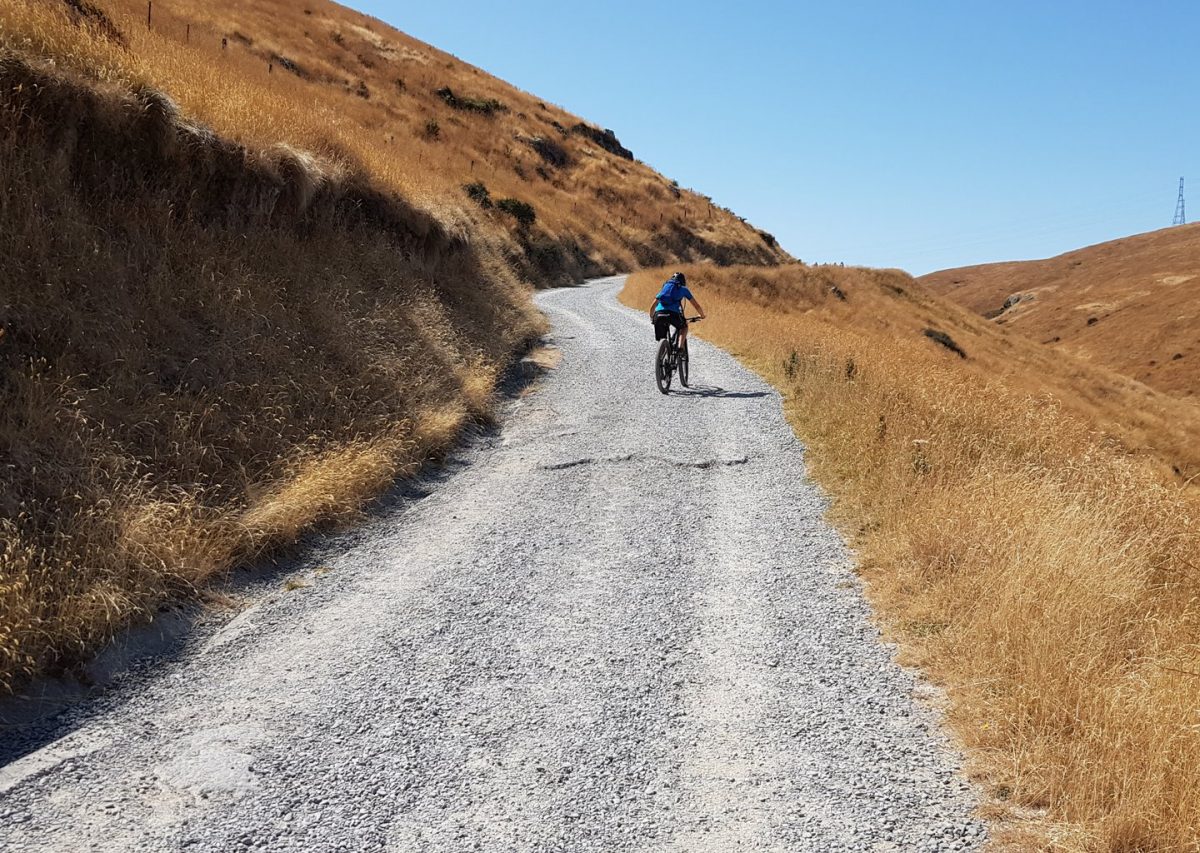 Flashback Friday Hidden Treasures: Rapaki Track – Cycling in Christchurch