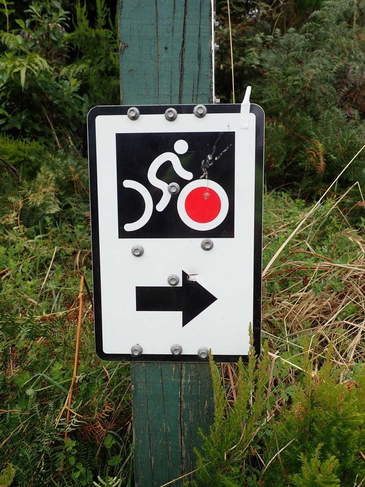 A Great Ride for Christchurch? – Cycling in Christchurch